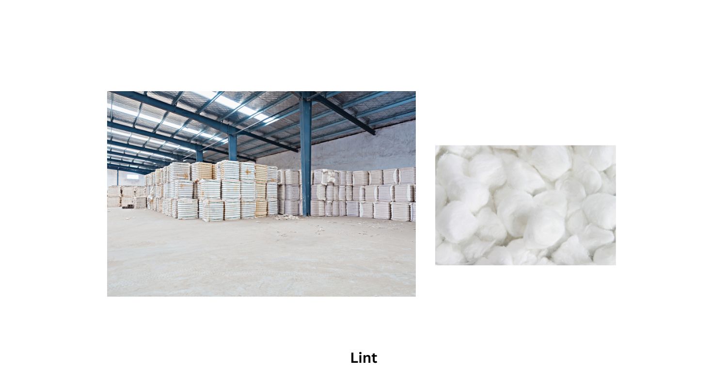 All you need to know about the unknown cotton-related terms – Manage Adora